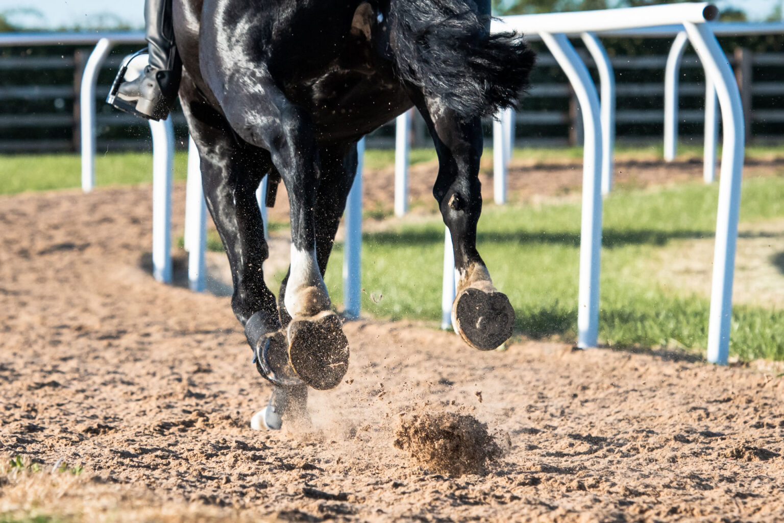 Facilities – Thorpe Farm Equestrian