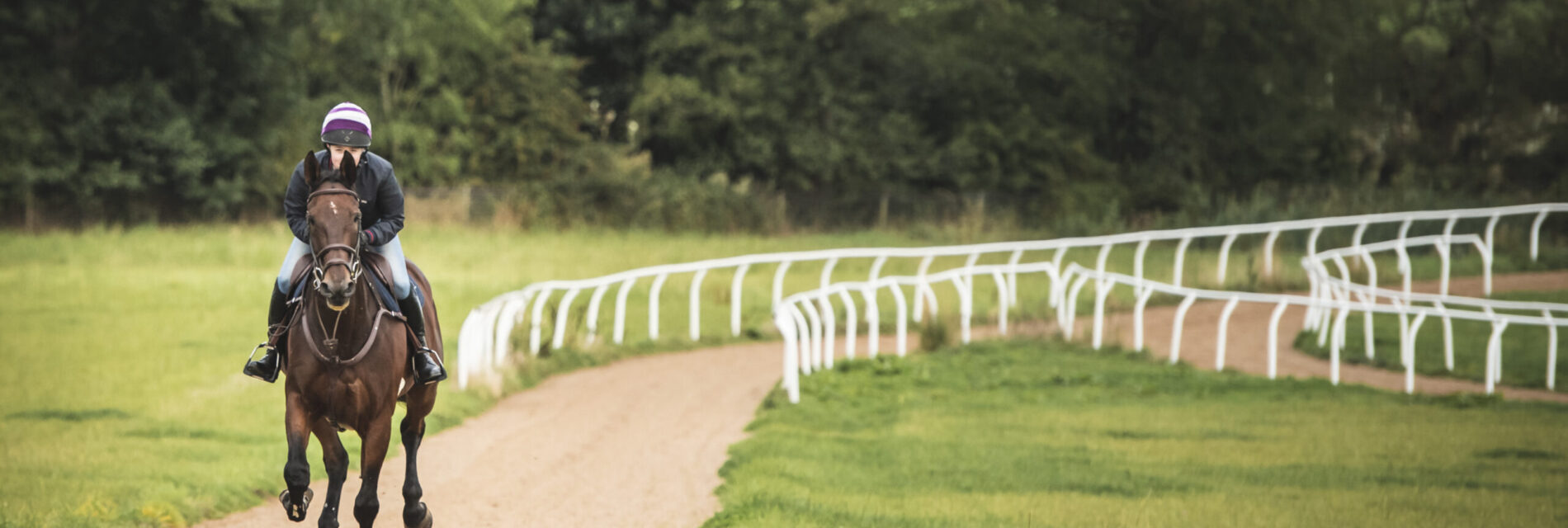 Blog – Thorpe Farm Equestrian