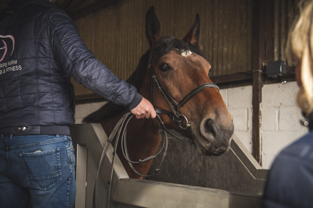 Different ways to use the water treadmill and gallops. – Thorpe Farm ...