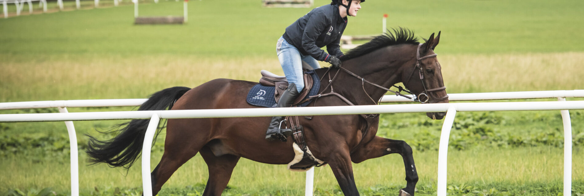Blog – Thorpe Farm Equestrian