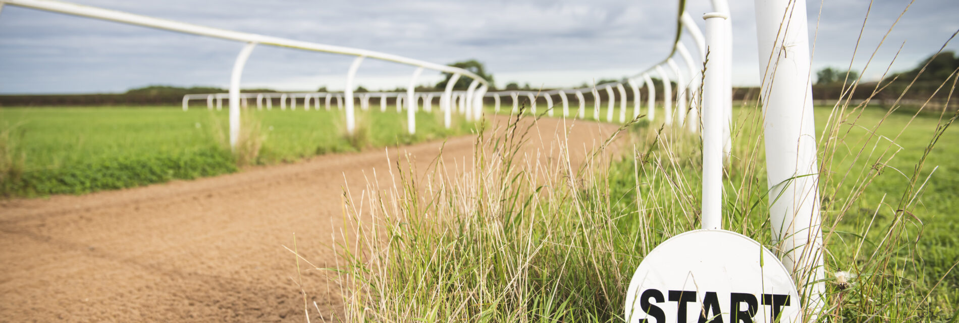 Blog – Thorpe Farm Equestrian