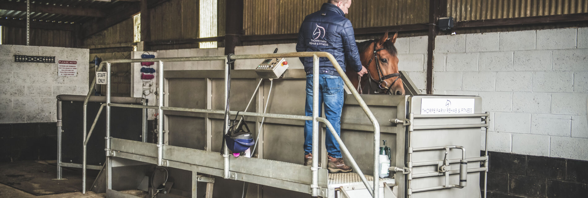 Blog – Thorpe Farm Equestrian