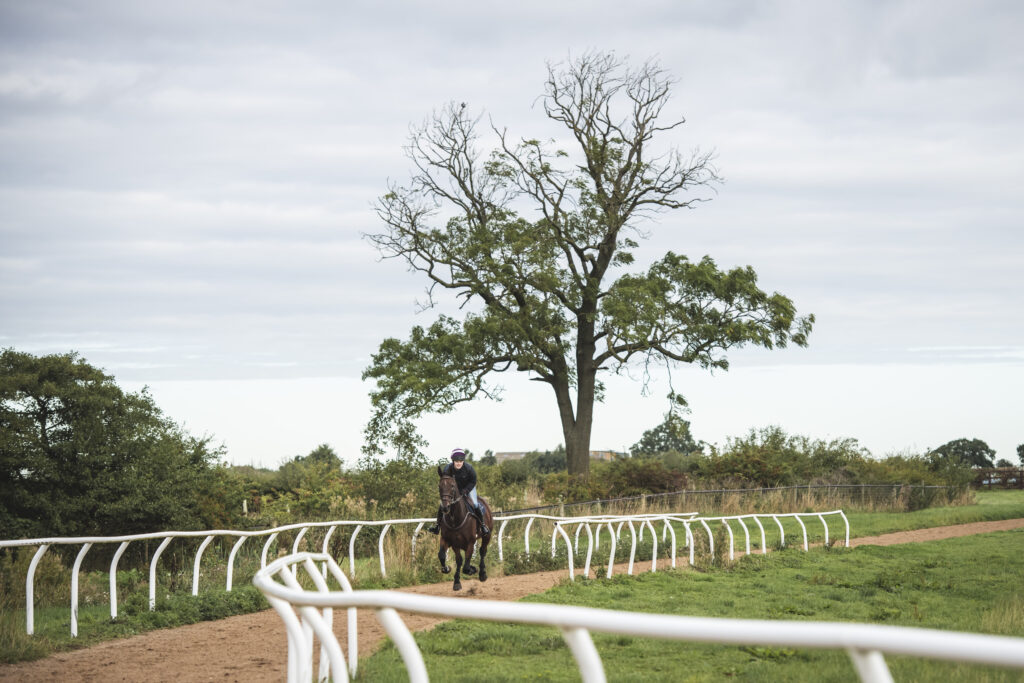 An autumn update from the Thorpe Farm Racing Club! – Thorpe Farm Equestrian