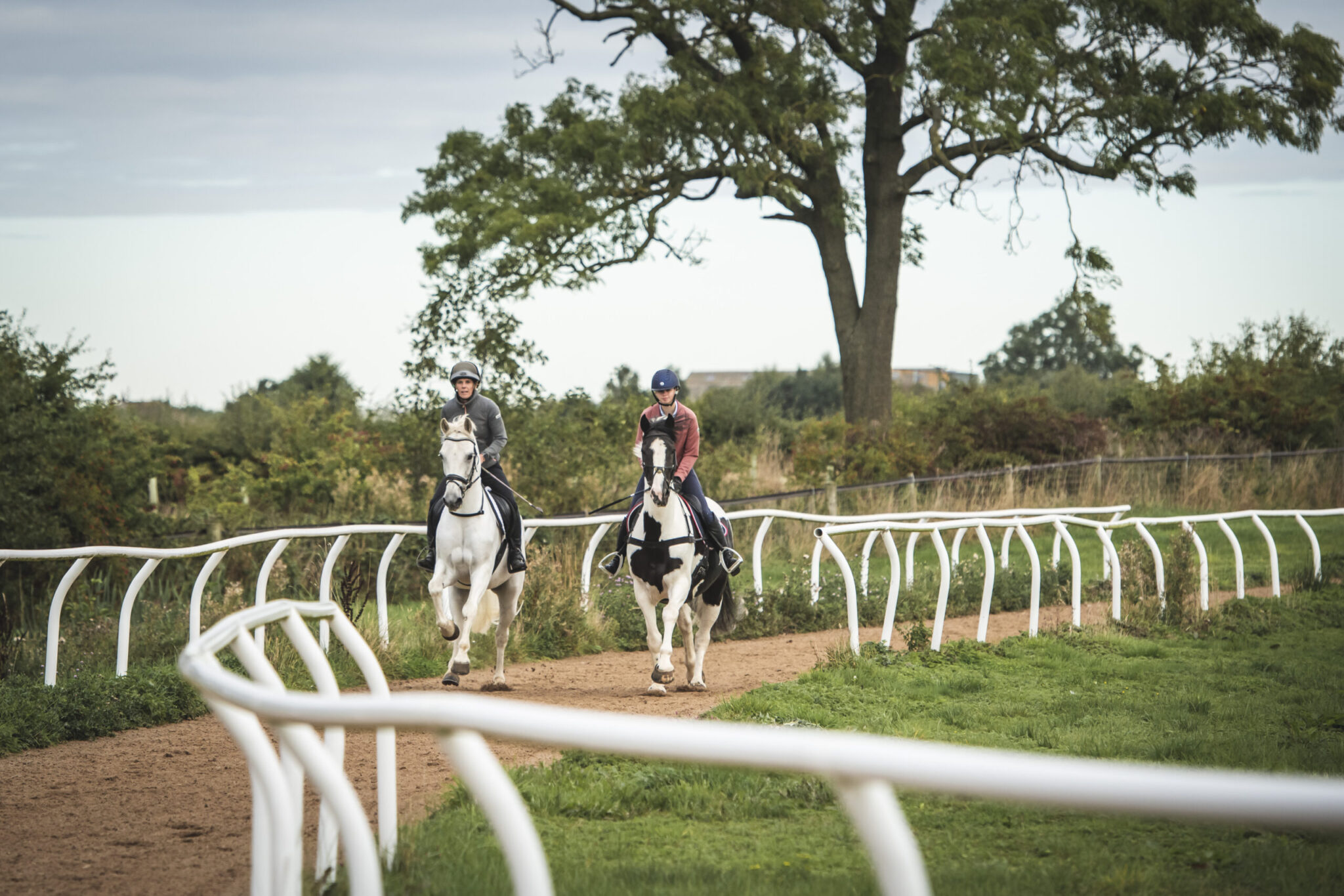 New year’s resolutions for you and your horse – Thorpe Farm Equestrian